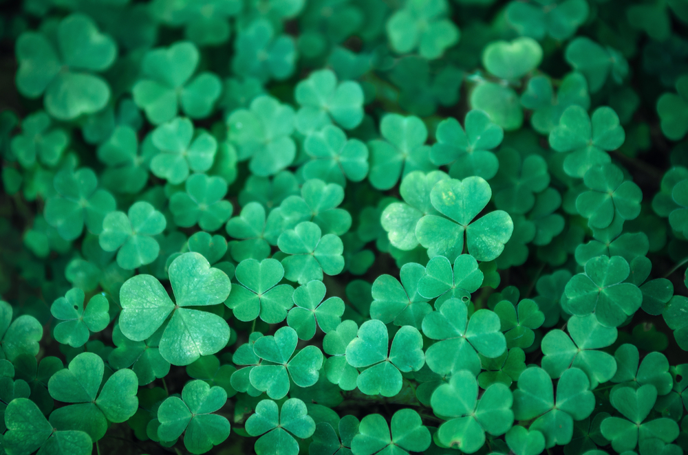 Ditt bidrag behövs! - Sveriges Konsumenter - Sveriges Konsumenter